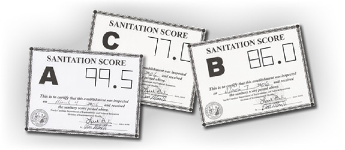 Sanitation Grade for your Life – Emily Rose Funderburk, LCMHC